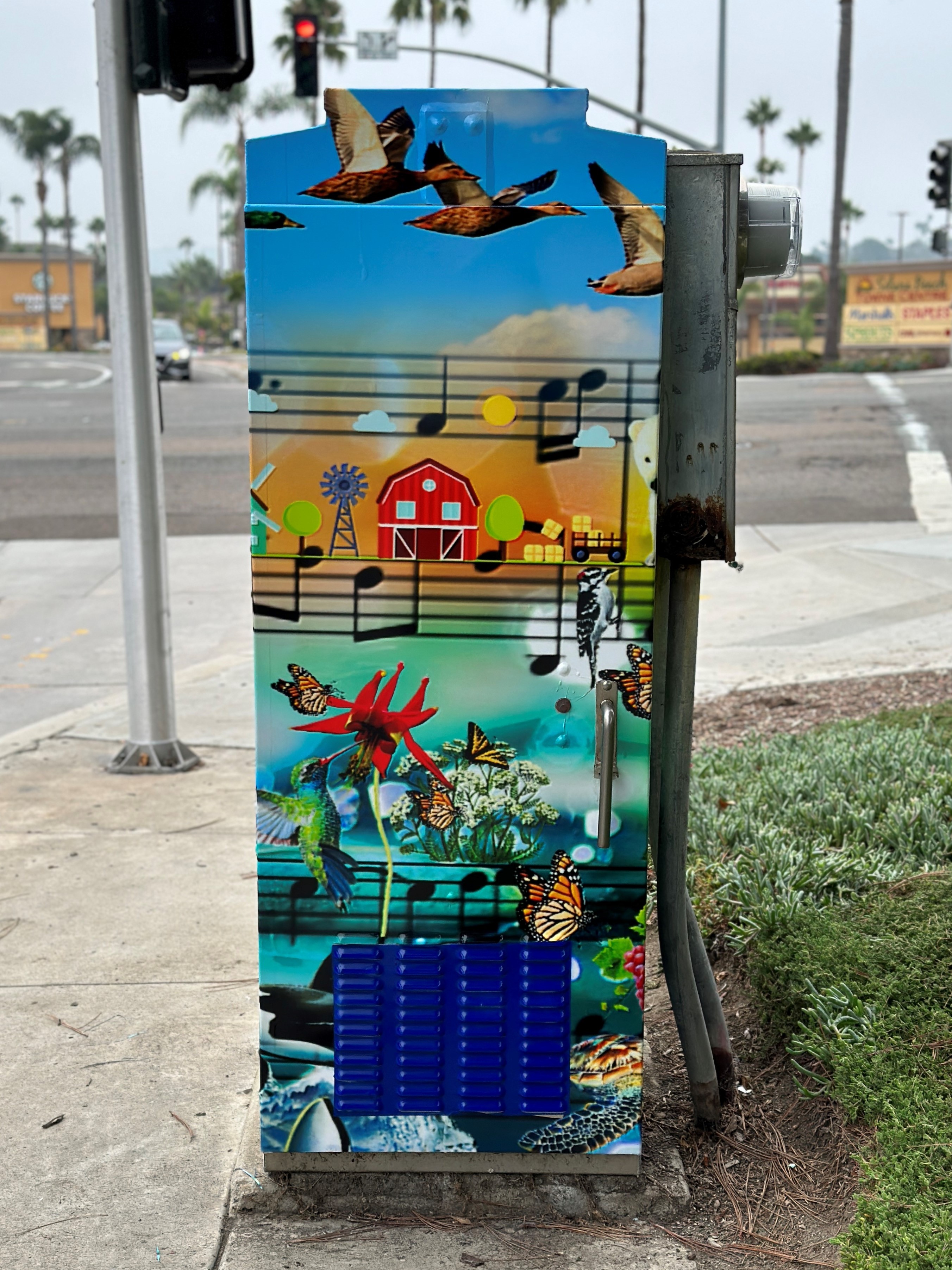 Utility Box Wrap Program | Solana Beach